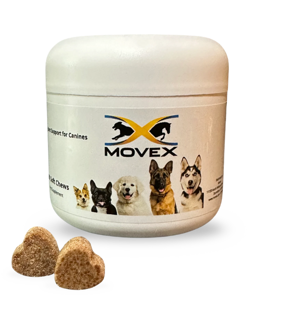 Canine – MoveX