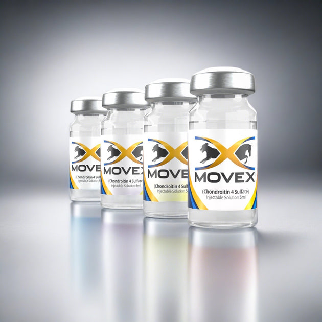Equine Joint Support - – MoveX