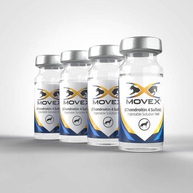 Canine Joint Support - S – MoveX