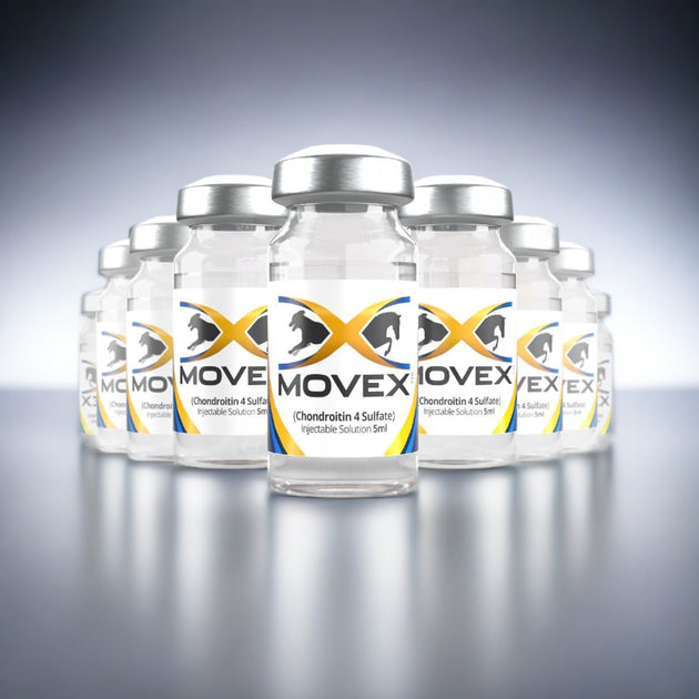 Equine Joint Support - – MoveX